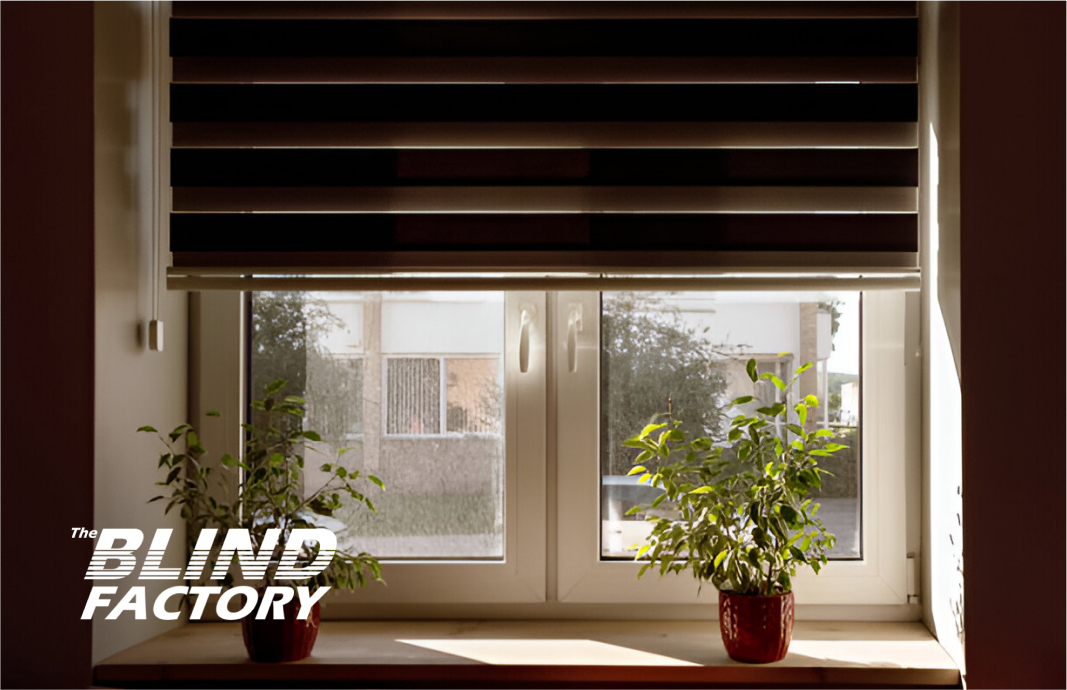 Top 7 Reasons Transitional Shades Boost Energy Efficiency